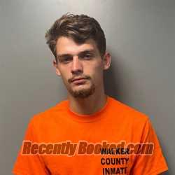 Recent Booking / Mugshot for CHANCE WAYNE FOWLER in Walker County, Alabama