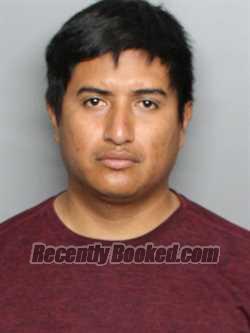 Recent Booking / Mugshot for ERVIN MORALES CRUZ in Charlotte County, Florida