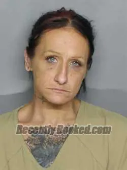 Amber Louise Carlini Mugshot & Arrest Info | Charlotte County, FL