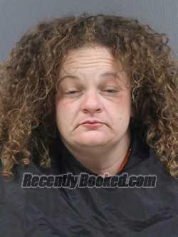 Recent Booking / Mugshot for Brandy Boland in Cherokee County, South ...