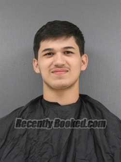 Recent Booking / Mugshot for Brandon Manzo in Cherokee County, South ...