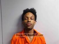 Recent Booking / Mugshot for CHRISTIAN RAYNELL CARRIER in Beauregard ...