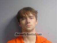 Recent Booking / Mugshot for LUKAS SETH WRAY in Beauregard Parish ...