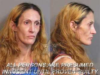 Recent Booking / Mugshot for MISTY MARIE MCMILLAN in Caddo Parish ...