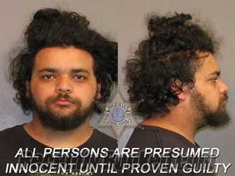Micah Timothy Sandell Arrest & Booking Info | Caddo Parrish, LA