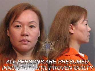 Recent Booking / Mugshot for YAN LI in Caddo Parish, Louisiana