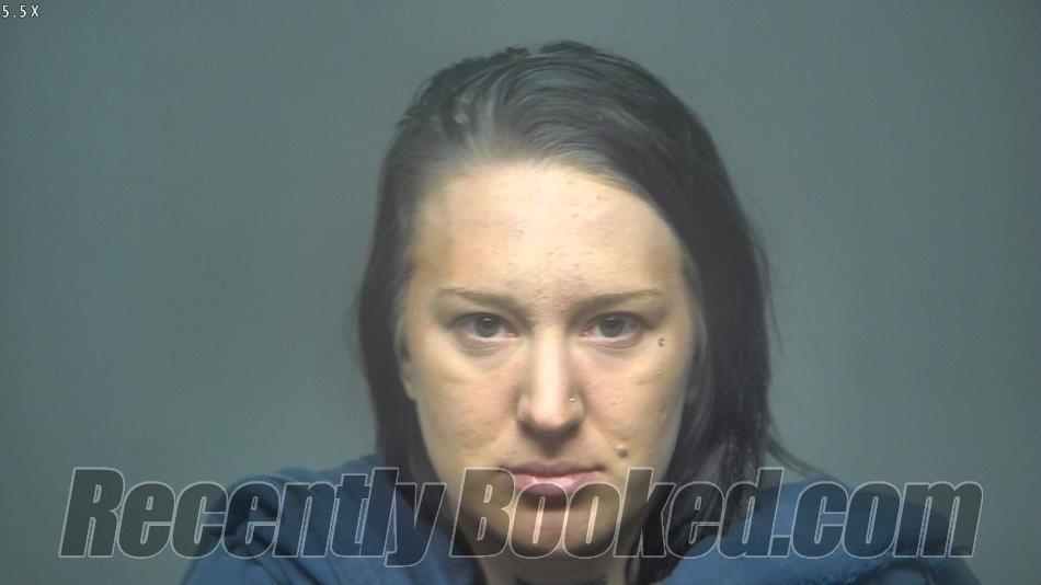 Recent Booking / Mugshot for HALEE MARIE ADAMS in Chester County, South ...