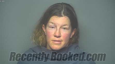 Recent Booking / Mugshot for MEGAN MICHELLE SMITH in Chester County ...