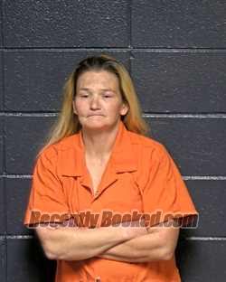 Recent Booking / Mugshot for DEBBIE LEE ANTLEY in DeSoto Parish, Louisiana