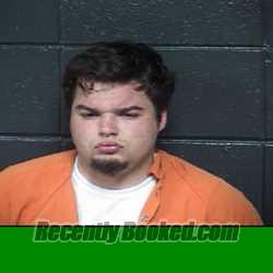 Recent Booking / Mugshot for GRAYSON BLAYNE BELL in DeSoto Parish ...