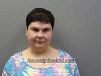 Recent Booking / Mugshot for DENISE ALIEN CHILDERS in Chesterfield ...