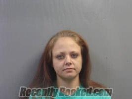 Recent Booking / Mugshot for ROBIN FAYE LEAR in Chesterfield County ...
