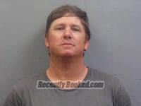 Recent Booking / Mugshot for WILLIAM ANTHONY LEAR in Chesterfield ...