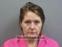 Brandi Nicole Mayhew Arrest & Booking Info | Chesterfield County, SC