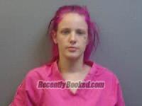 Recent Booking / Mugshot for JORDAN NICOLE WEZYK in Chesterfield County ...