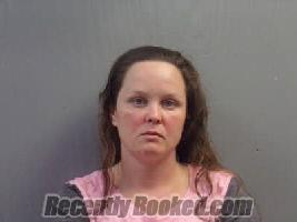 Recent Booking / Mugshot for NICOLE LYNN GOBLE in Chesterfield County ...