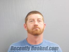 Recent Booking / Mugshot for DAVID LEE ROBERTS in Chesterfield County ...