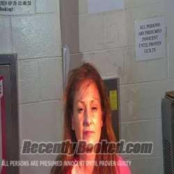 Recent Booking / Mugshot for ANNA MICHELLE HAYNES in Lincoln Parish ...