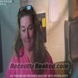 Recent Booking / Mugshot for APRIL LYN HARWELL in Lincoln Parish, Louisiana