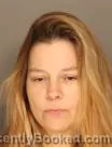 MELISSA ANN W DELK Arrest Record & Booking Info – Colleton County ...