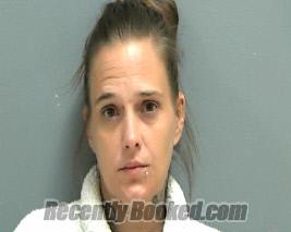 Recent Booking / Mugshot for LISA ANN DIXON in Darlington County, South ...