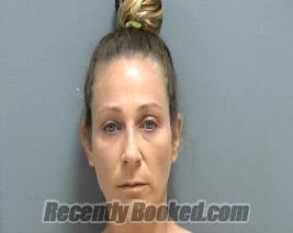 Recent Booking / Mugshot for CRYSTAL RENEE DARITY in Darlington County ...