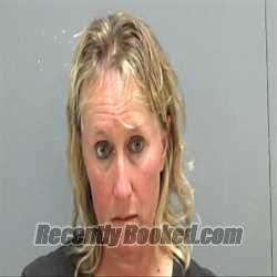 Recent Booking / Mugshot for RHONDA LEE TALBOT in Darlington County ...