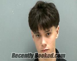 Recent Booking / Mugshot for JACOB CHRISTOPHER ATKINSON in Darlington ...