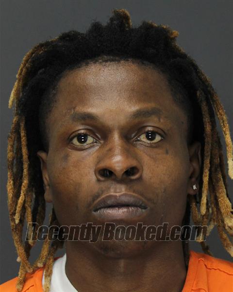 Recent Booking / Mugshot for LARRY PAPPY JOHNSON in Bergen County, New ...