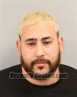Recent Booking / Mugshot for NELSON G OTERO in Cape May County, New Jersey
