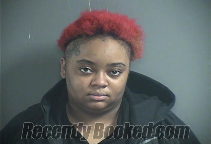 Recent Booking / Mugshot for CHRISTINE NICHOLE HOWARD in Cumberland ...