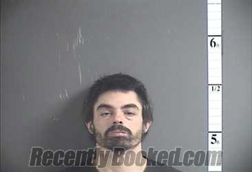 Recent Booking / Mugshot for TRACEY P LAMB in Cumberland County, New Jersey
