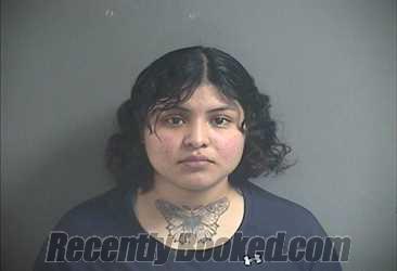 Recent Booking / Mugshot for TRACEY PEREZ-FELIX in Cumberland County ...