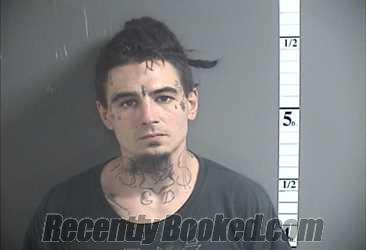 Recent Booking / Mugshot for NICHOLAS SCOTT BROWN in Cumberland County ...