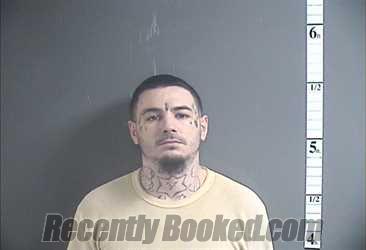 Recent Booking / Mugshot for NICHOLAS SCOTT BROWN in Cumberland County ...