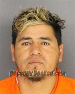 Recent Booking / Mugshot for MARIN WILSON in Essex County, New Jersey