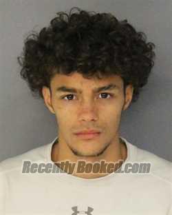 Recent Booking / Mugshot for CHRIS J RUIZ in Essex County, New Jersey