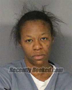 Recent Booking / Mugshot for CHEYENNE L LITTLE in Essex County, New Jersey
