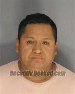 Recent Booking / Mugshot for FRANKLIN S PUMA-MINARCAJA in Essex County ...