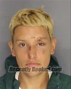 Recent Booking / Mugshot for JAMES BONOMO in Essex County, New Jersey