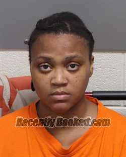 Recent Booking / Mugshot for ASHNER HOLLYN NELSON in Dorchester County ...