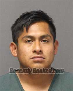 Recent Booking / Mugshot for SERGIO NICHOLAS in Ocean County, New Jersey