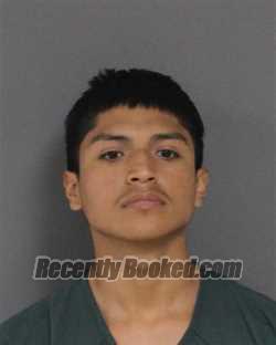 Recent Booking / Mugshot for DANIEL RODRIGUEZ in Ocean County, New Jersey