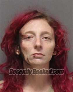 Recent Booking / Mugshot for ELIZABETH CHERYL MASCARELLI in Ocean ...