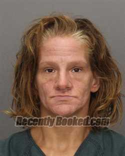 Recent Booking / Mugshot for JESSICA M MASSA in Salem County, New Jersey
