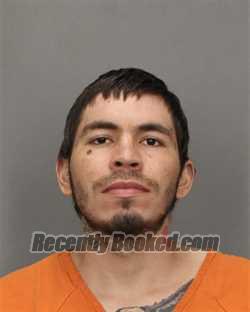 Recent Booking / Mugshot for RAMON S RAMIREZ in Salem County, New Jersey