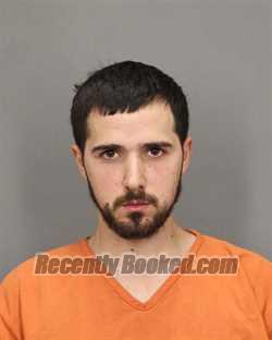 Recent Booking / Mugshot for ALFRED RICCI in Salem County, New Jersey