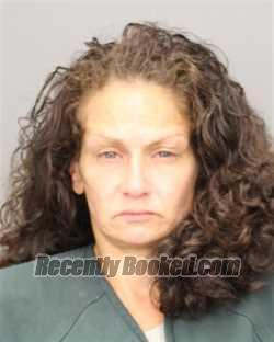 Recent Booking / Mugshot for ALLISON HELSEL in Salem County, New Jersey