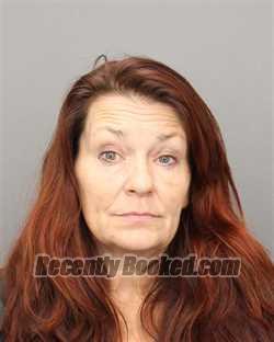 Recent Booking / Mugshot for KATRINA MEALEY in Salem County, New Jersey