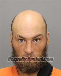 Recent Booking / Mugshot for DARREL L STITH in Salem County, New Jersey